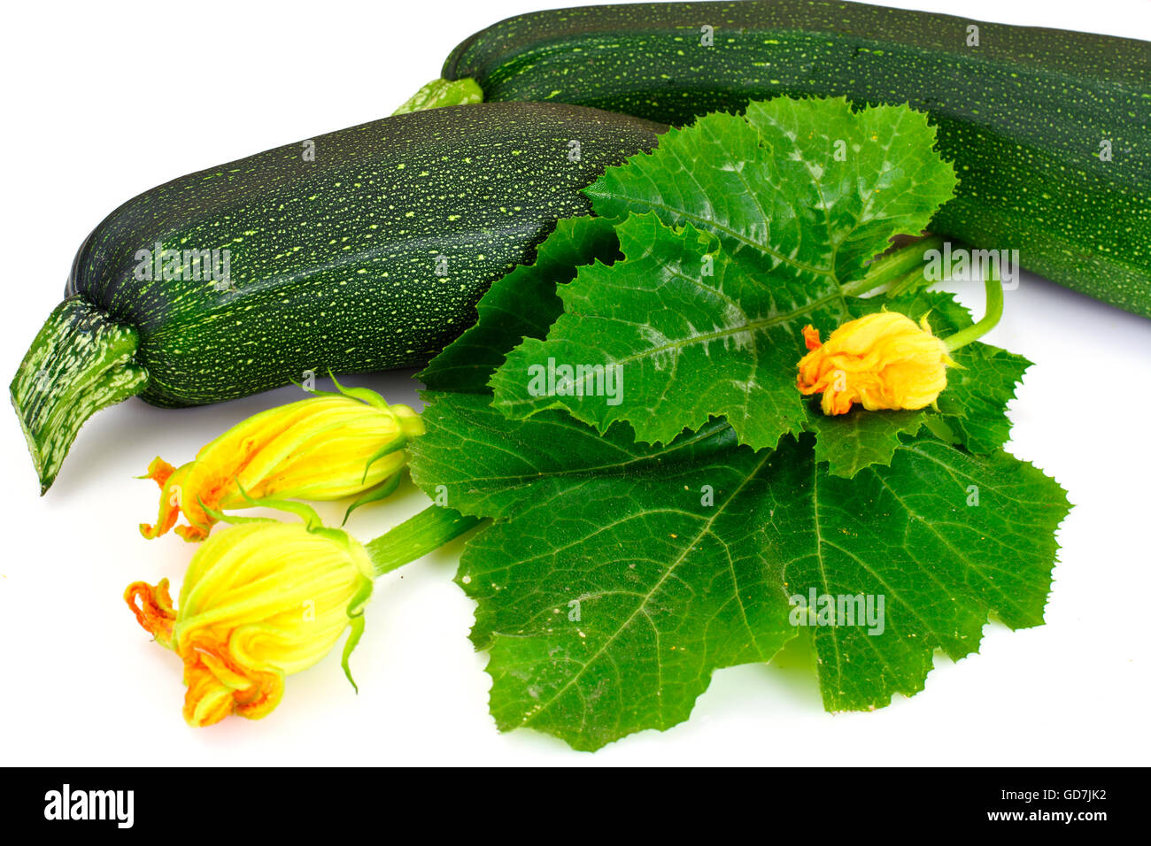Fresh Green Zucchini with Leaves and Flowers Stock Photo - Alamy