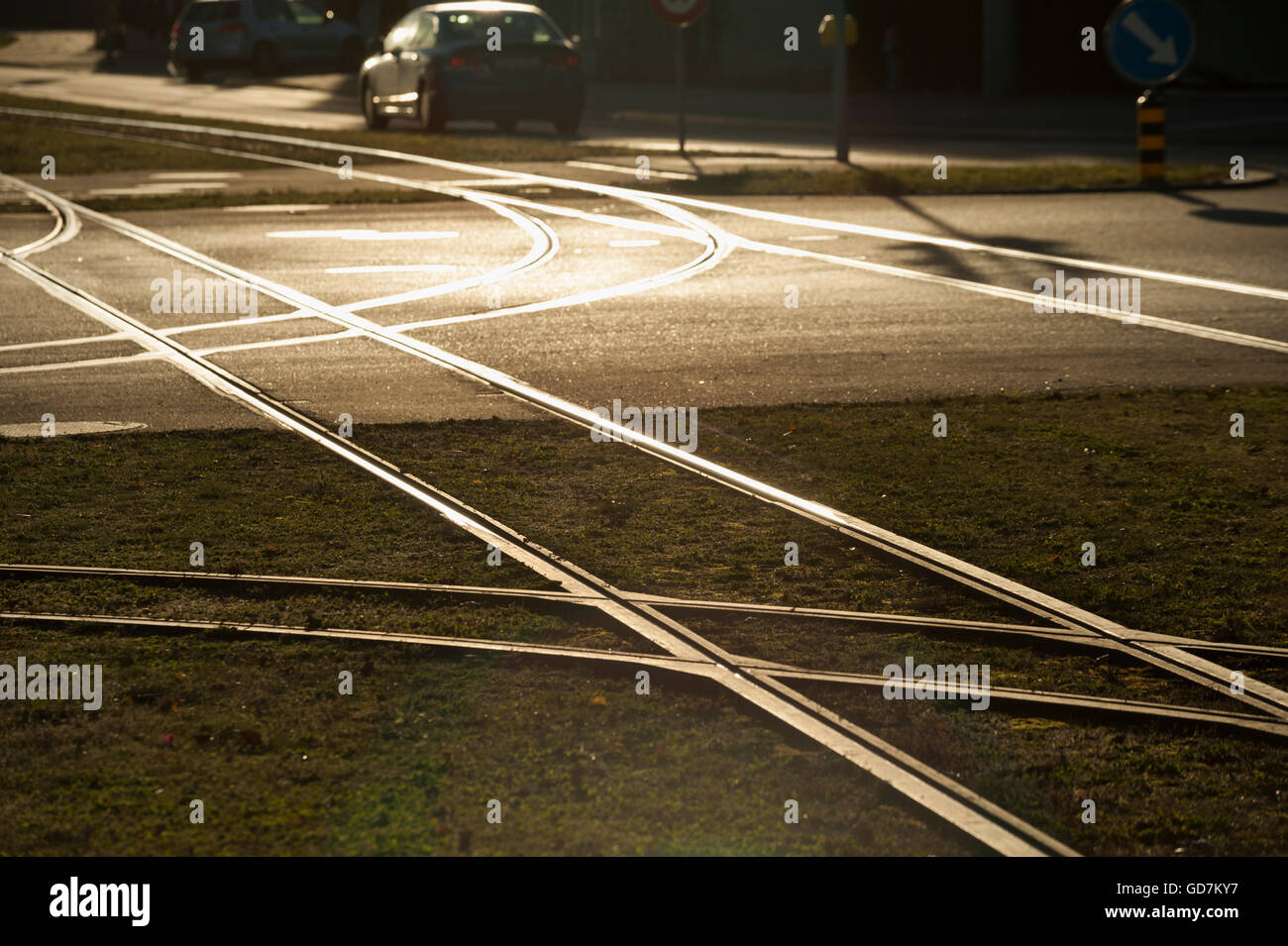 Streetcar rail tracks reflecting the light of the setting sun on a road ...