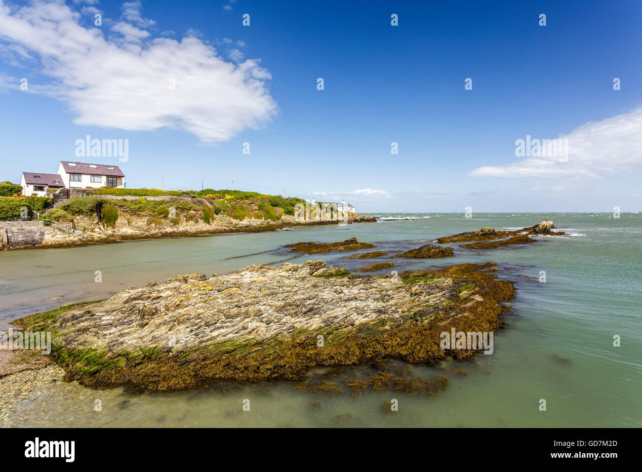 Bull bay hi-res stock photography and images - Alamy