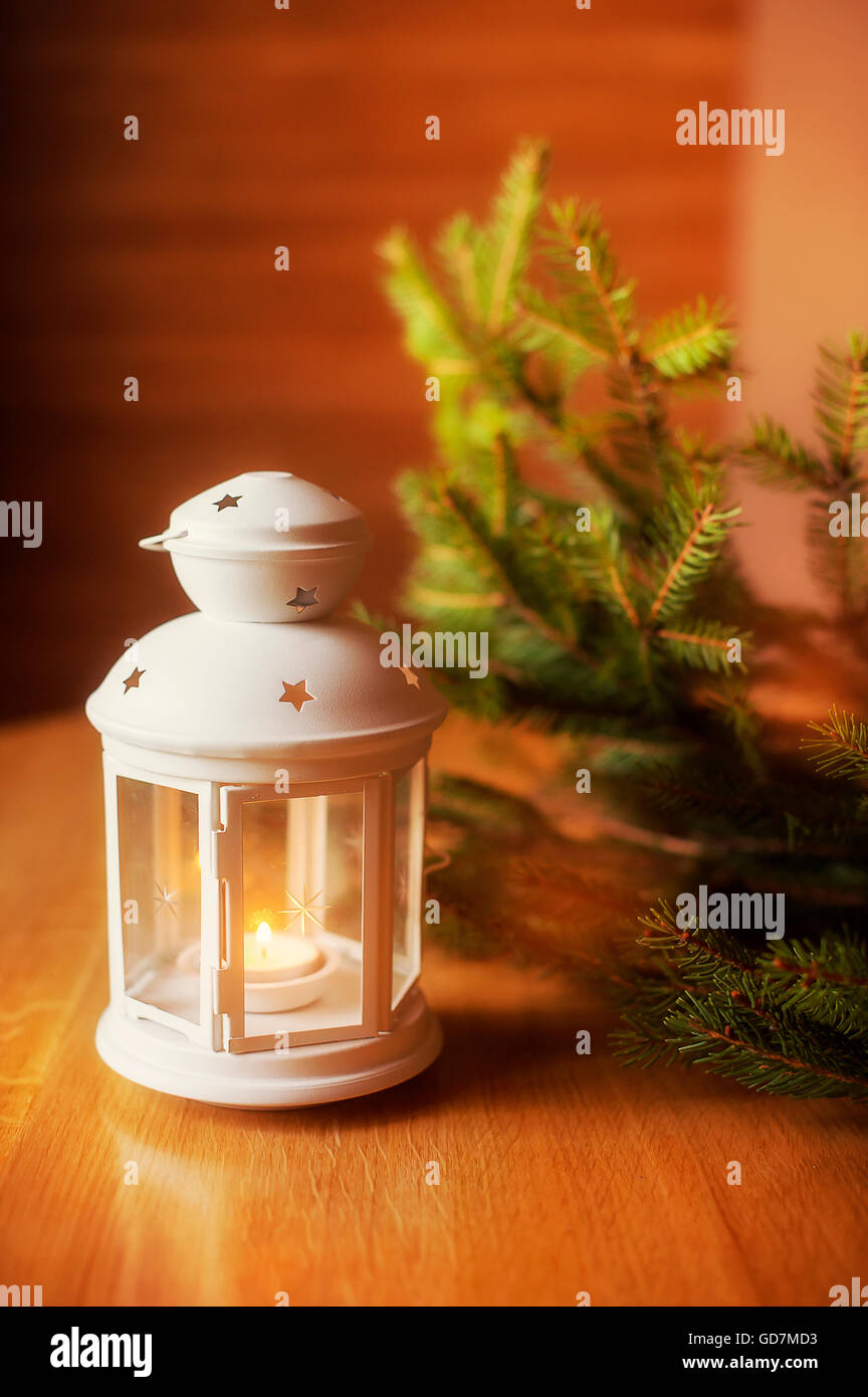 Candlestick tree hi-res stock photography and images - Alamy