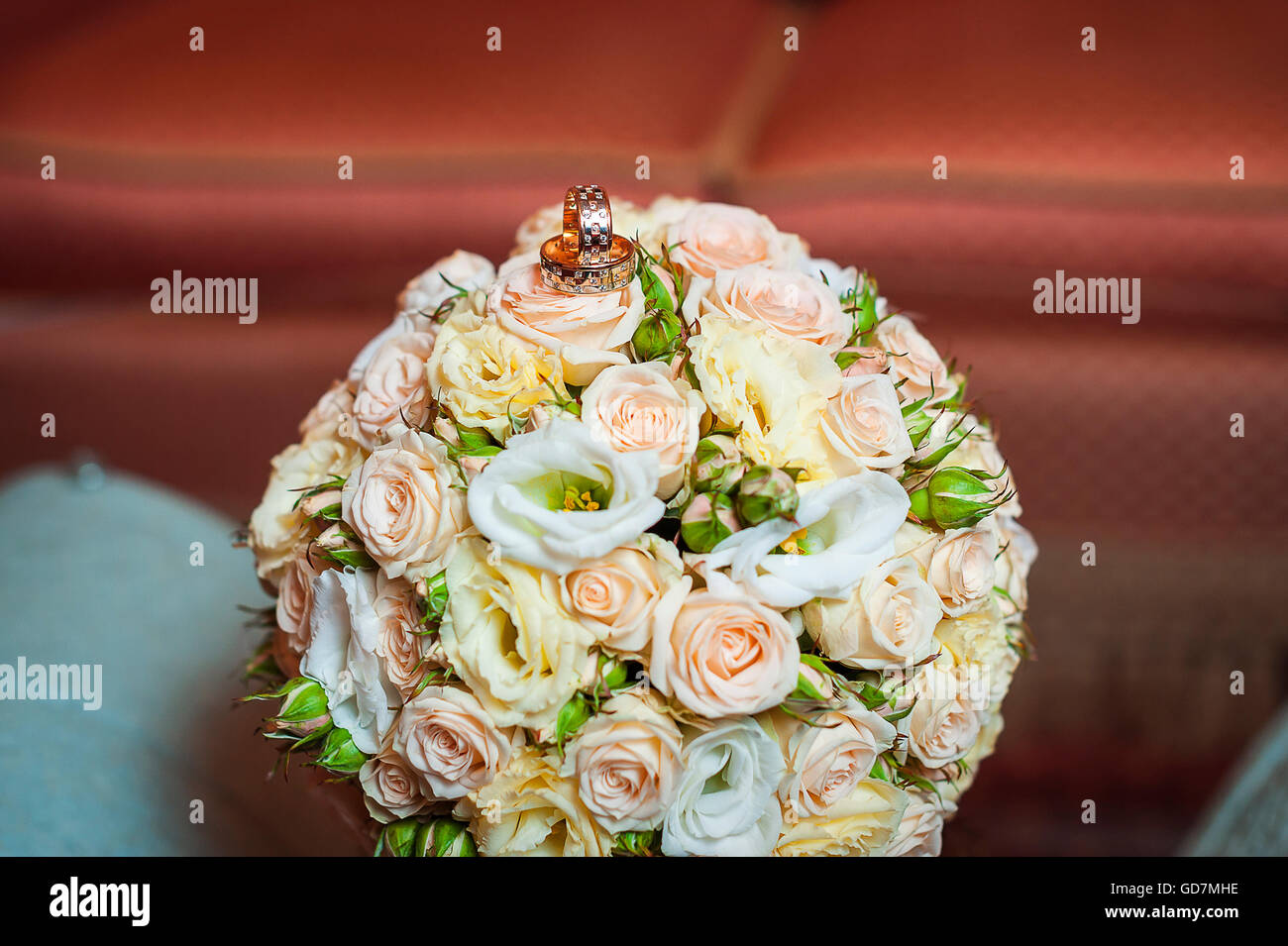 Cream roses hi-res stock photography and images - Alamy