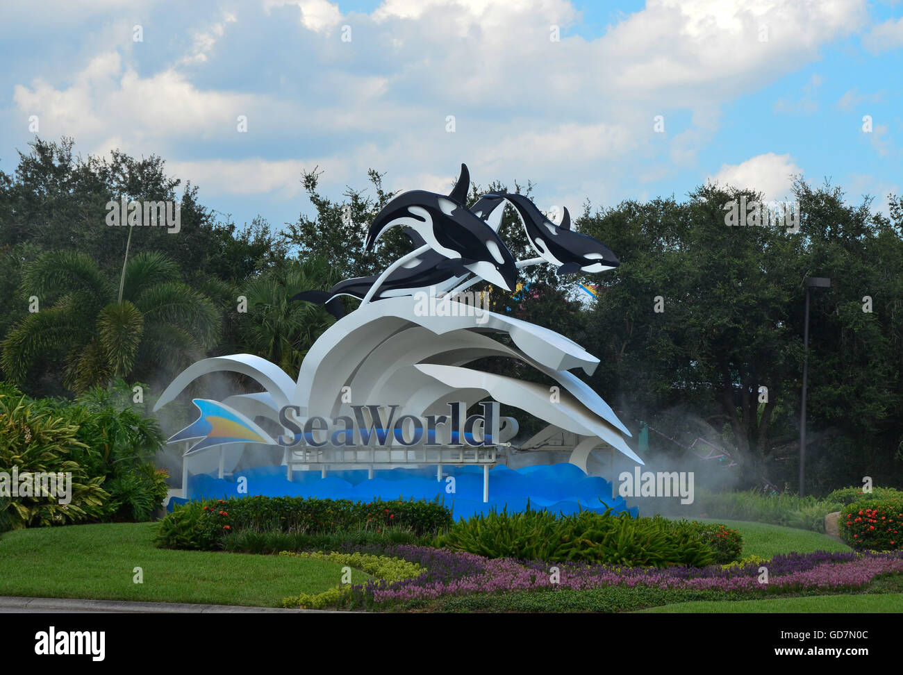 Killer Whale show in the Shamu Stadium at Seaworld Orlando Florida ...