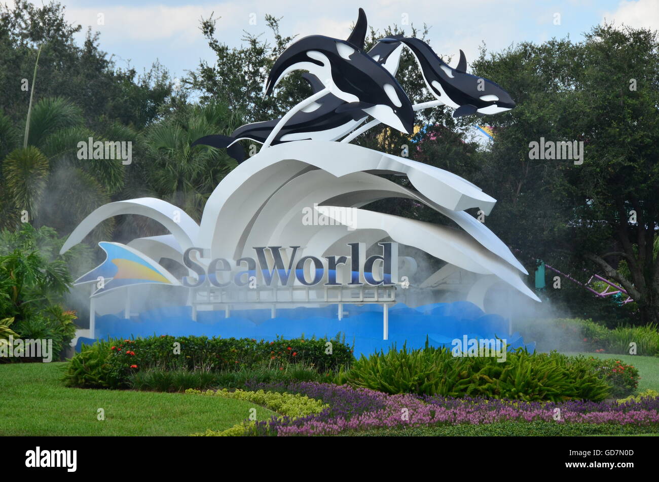 Killer Whale show in the Shamu Stadium at Seaworld Orlando Florida ...