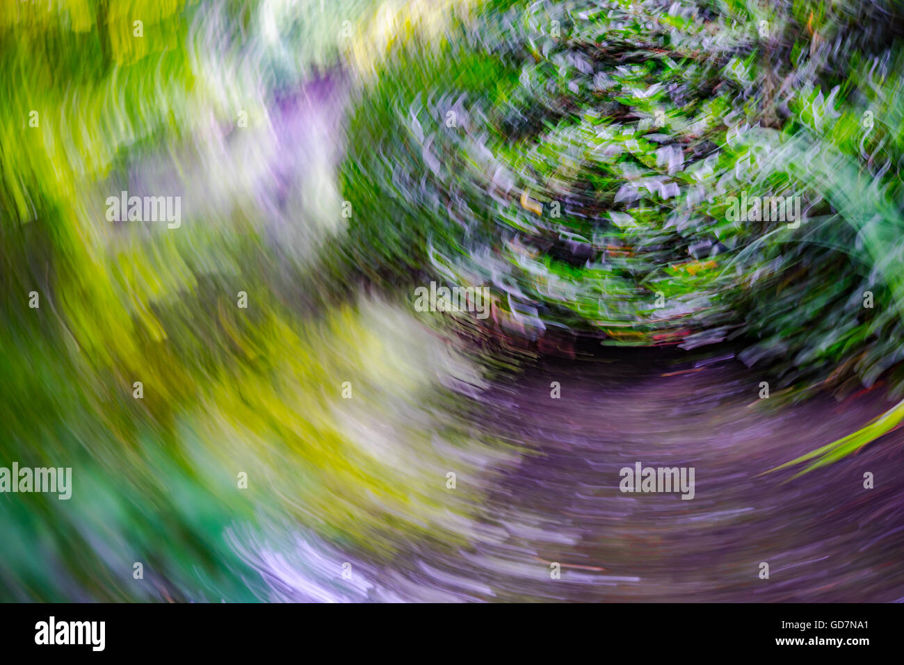 Floral background hi hi-res stock photography and images - Alamy
