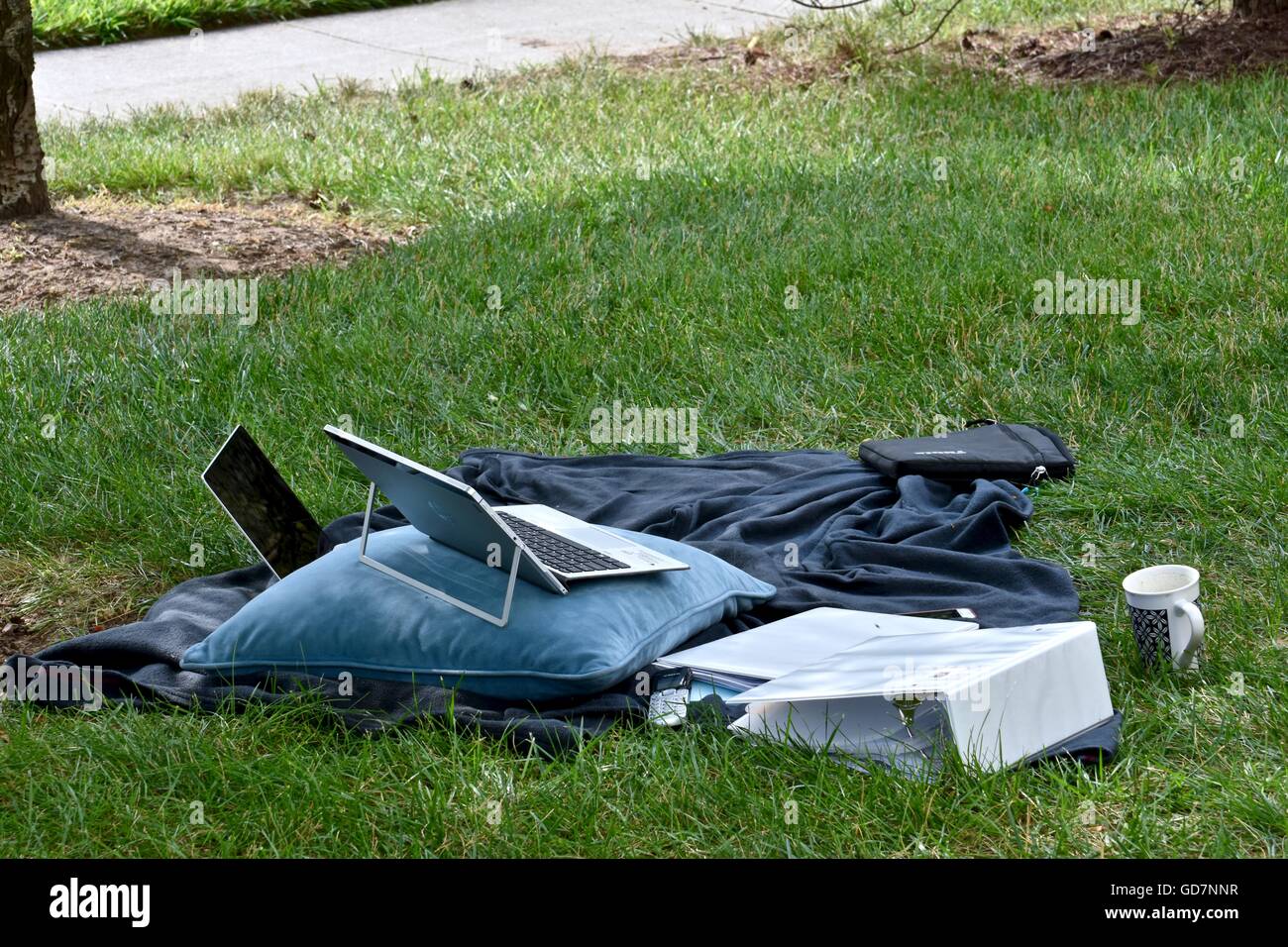 Taking office work outside on a nice summer day Stock Photo - Alamy