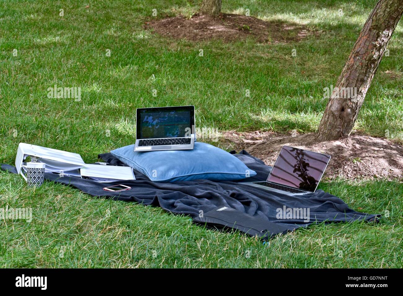 Summer office work hi-res stock photography and images - Alamy