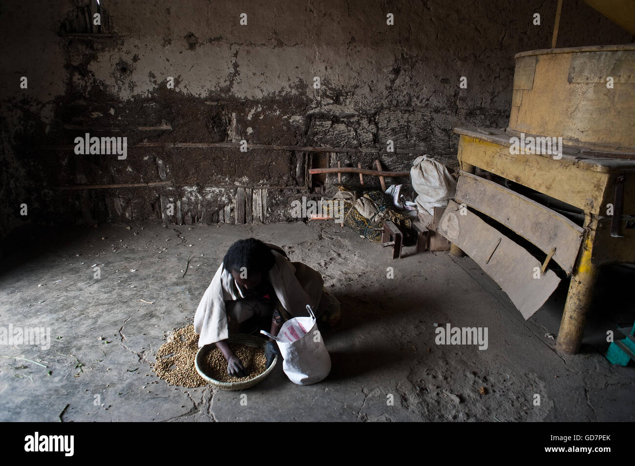 Woman sorting grains in a mill ( Ethiopia Stock Photo - Alamy