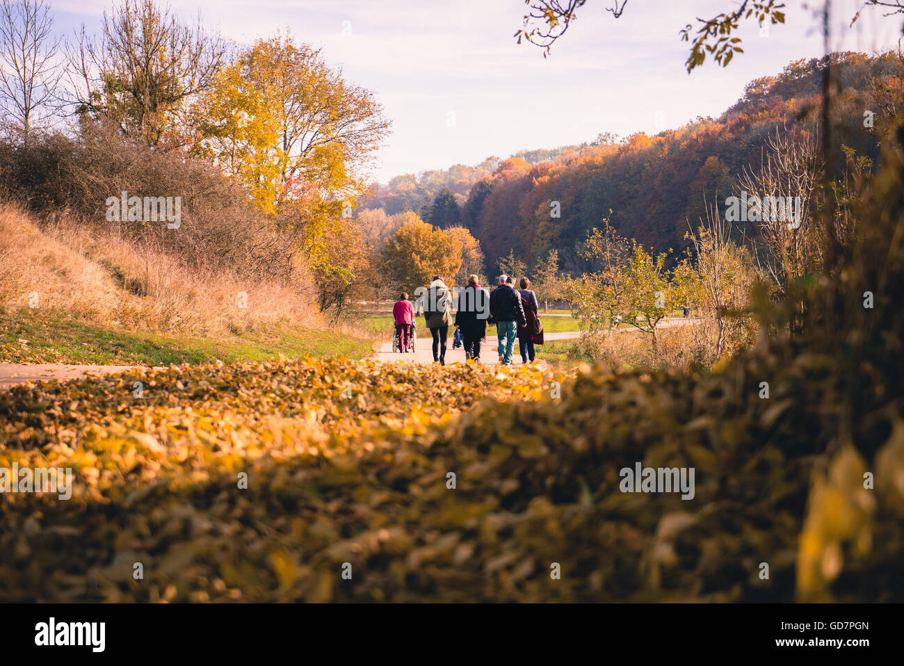 Family walking through woods hi-res stock photography and images - Alamy