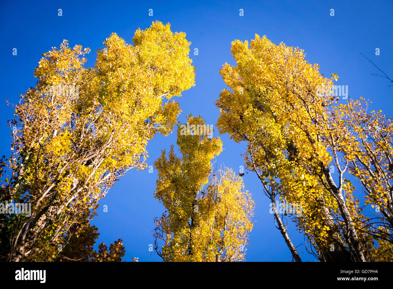 Beautiful clear fall sky hi-res stock photography and images - Alamy