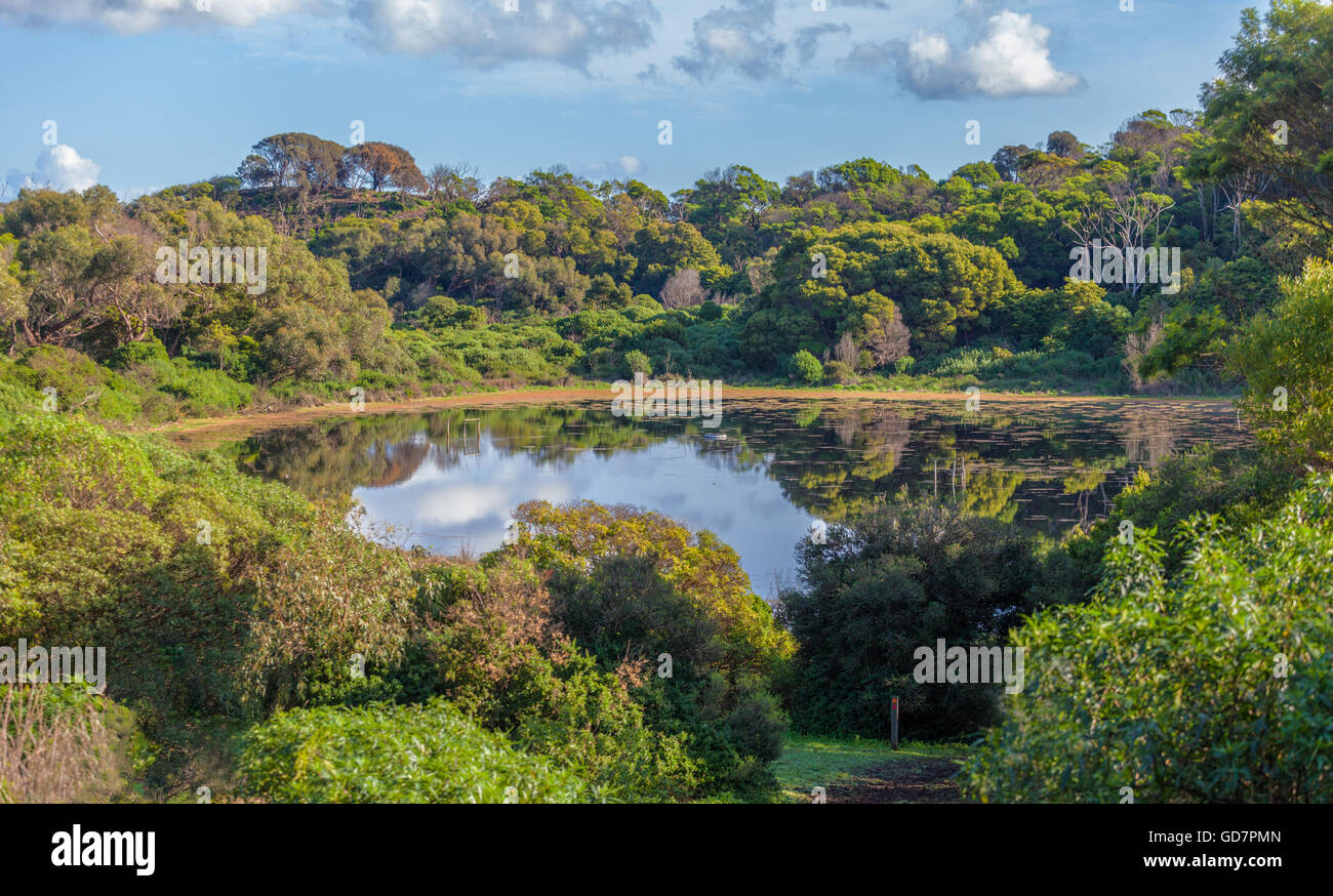 Victoria lake reserve hi-res stock photography and images - Alamy