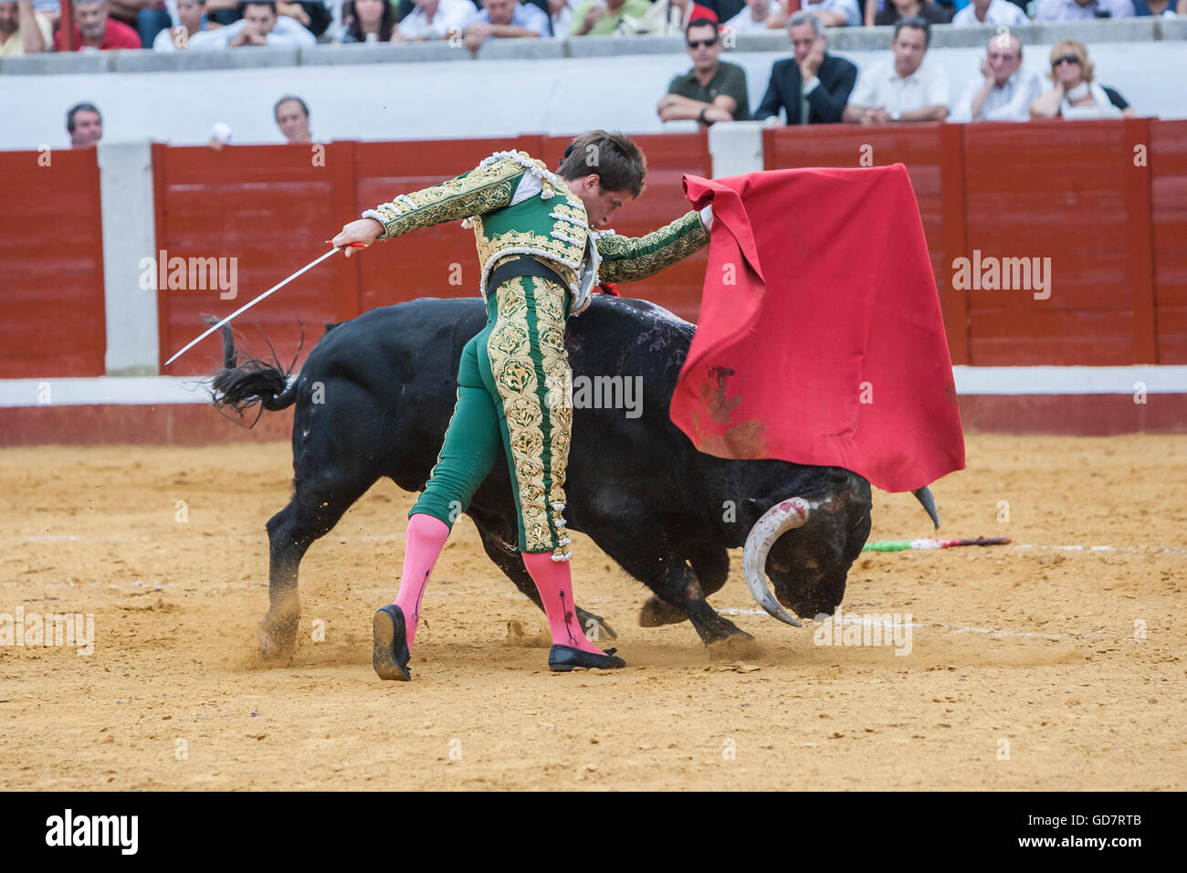 Spanish Bullfighter Julian Lopez El Juli bullfighting with the crutch ...