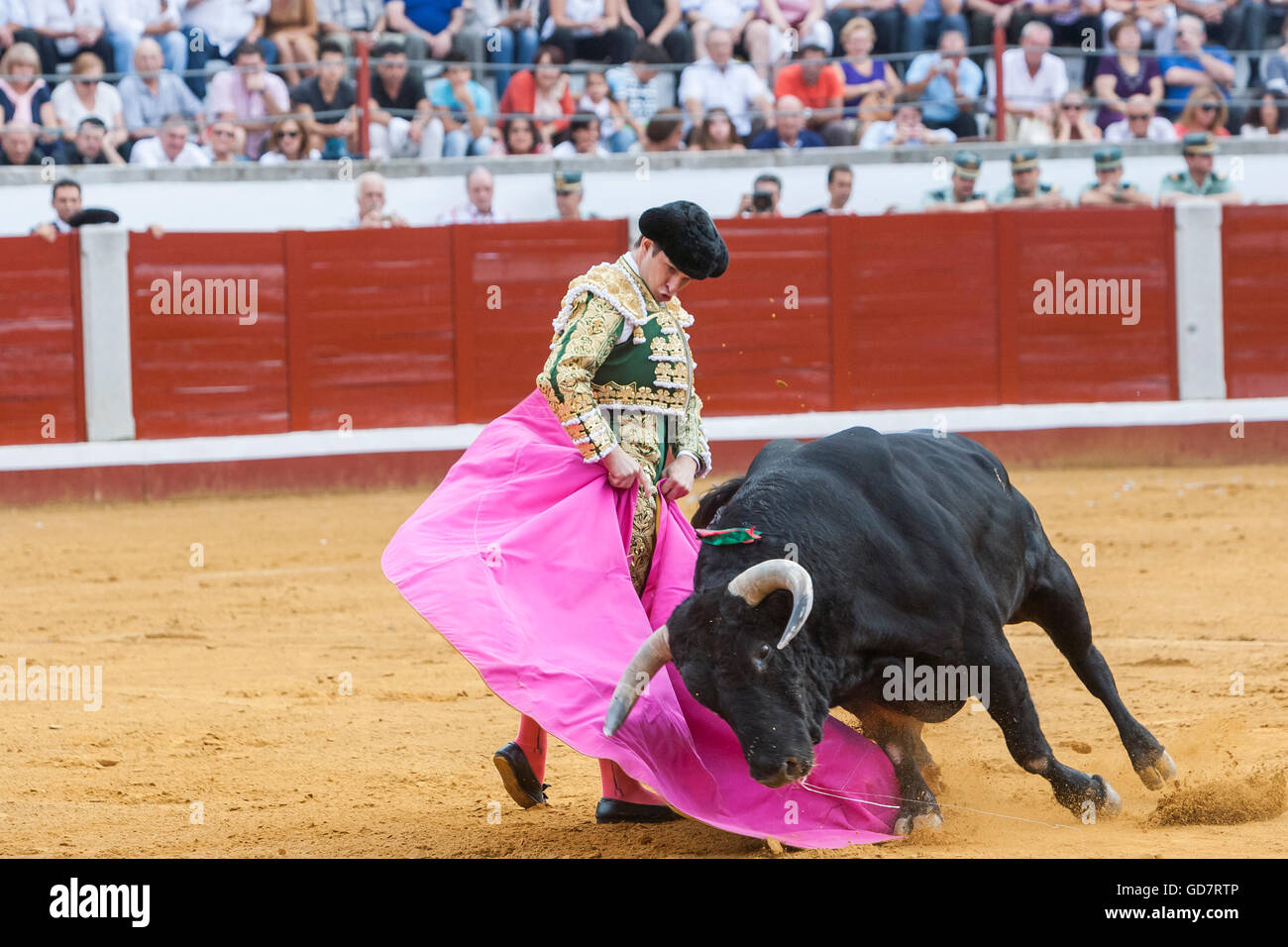 Bullfighter Julian Lopez El Juli bullfighting with the crutch in the ...