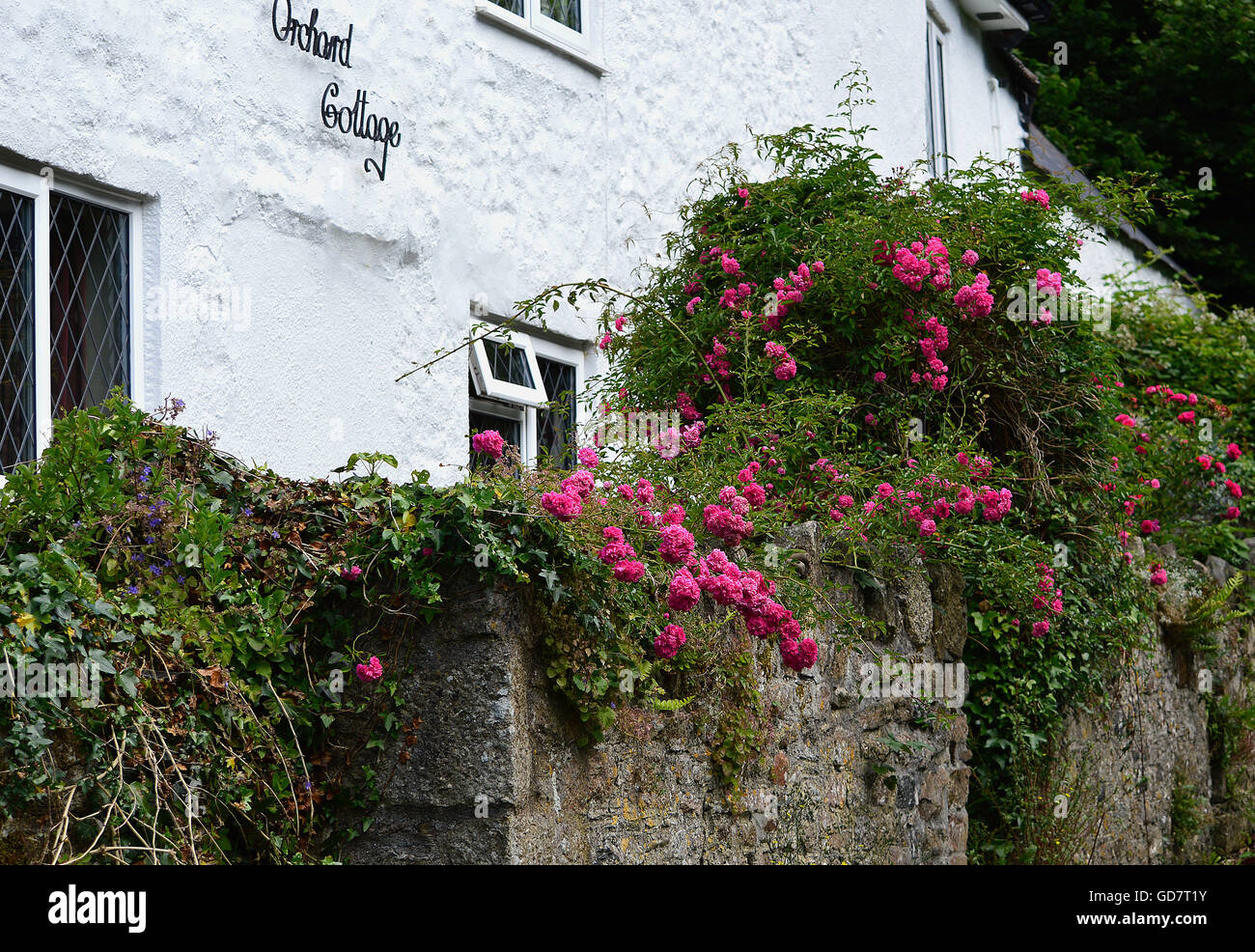 Devon cottage hi-res stock photography and images - Alamy