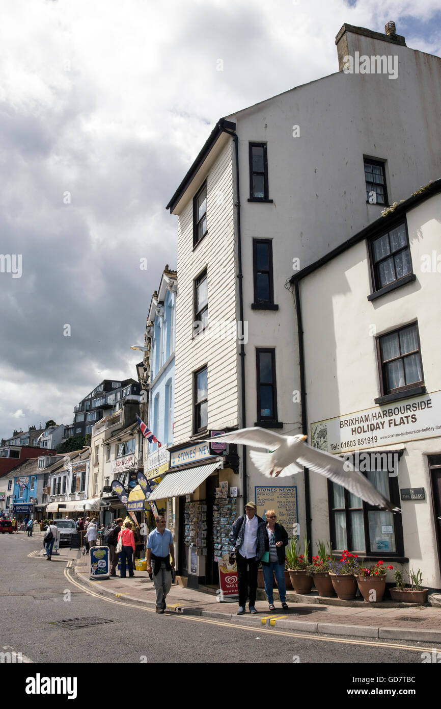 Brixham devon, uk, torbay, brixham, coastal, coast, town, shore, white ...