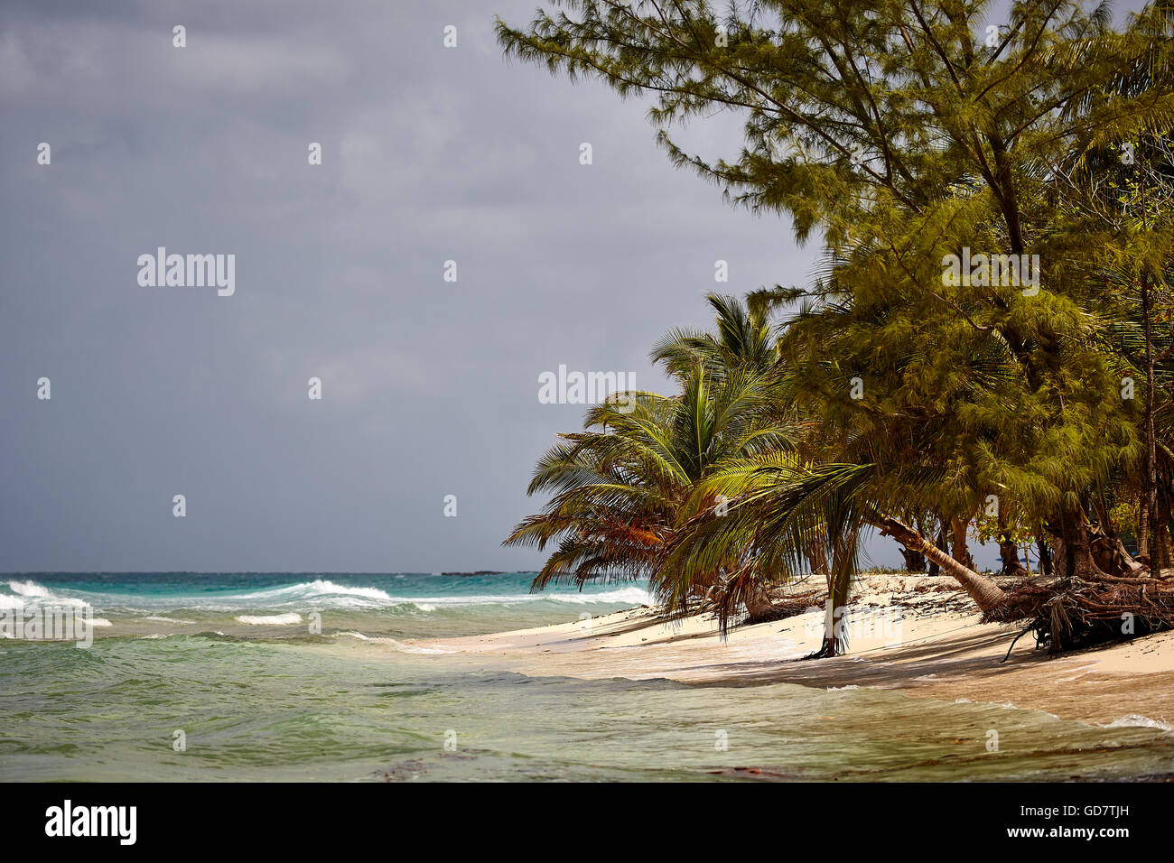 Garrison areas bridgetown beach golden sands clean pretty Caribbean Sea ...