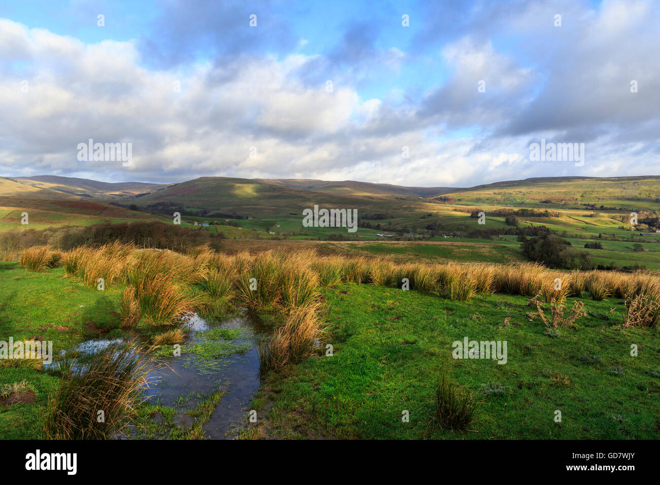 Yorkshire Dales National Park, England Stock Photo - Alamy
