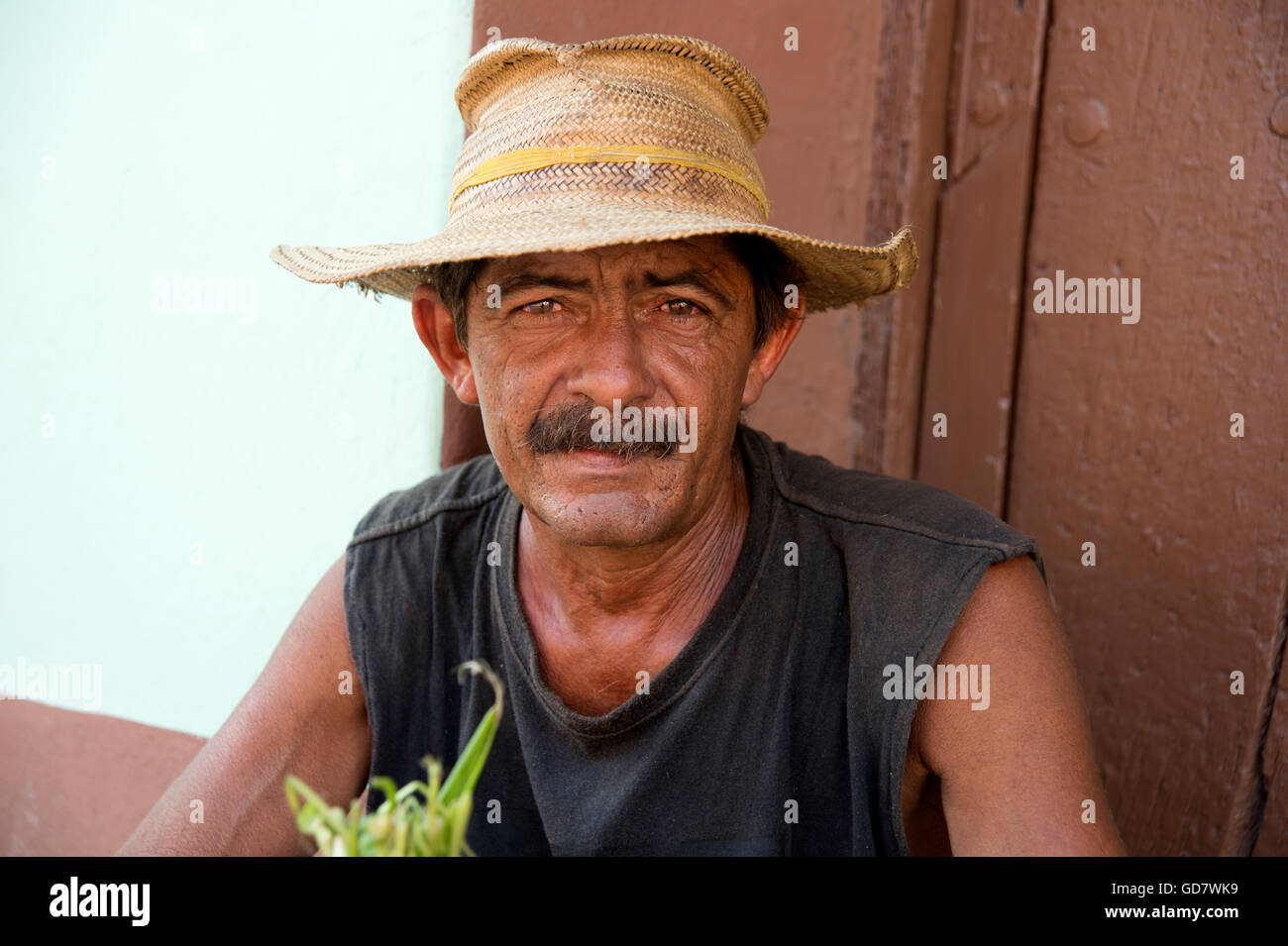 Straw Hat Farmer