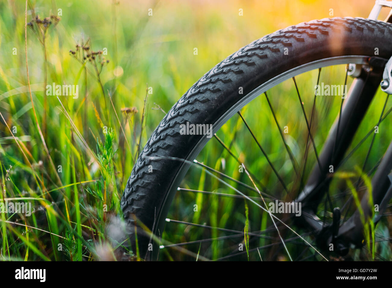 Bicycle Wheel In Summer Green Grass Meadow Field. Close Up Detail ...