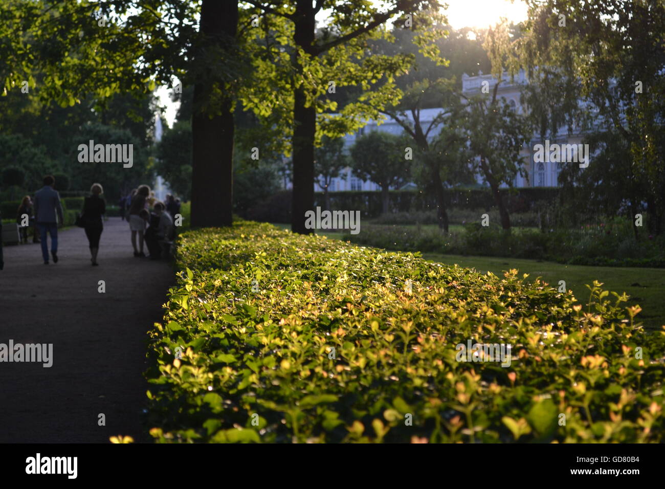 Warmth sunshine hi-res stock photography and images - Alamy