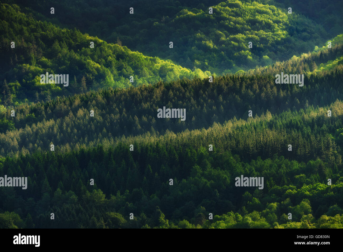 background with pattern of trees and hills Stock Photo - Alamy