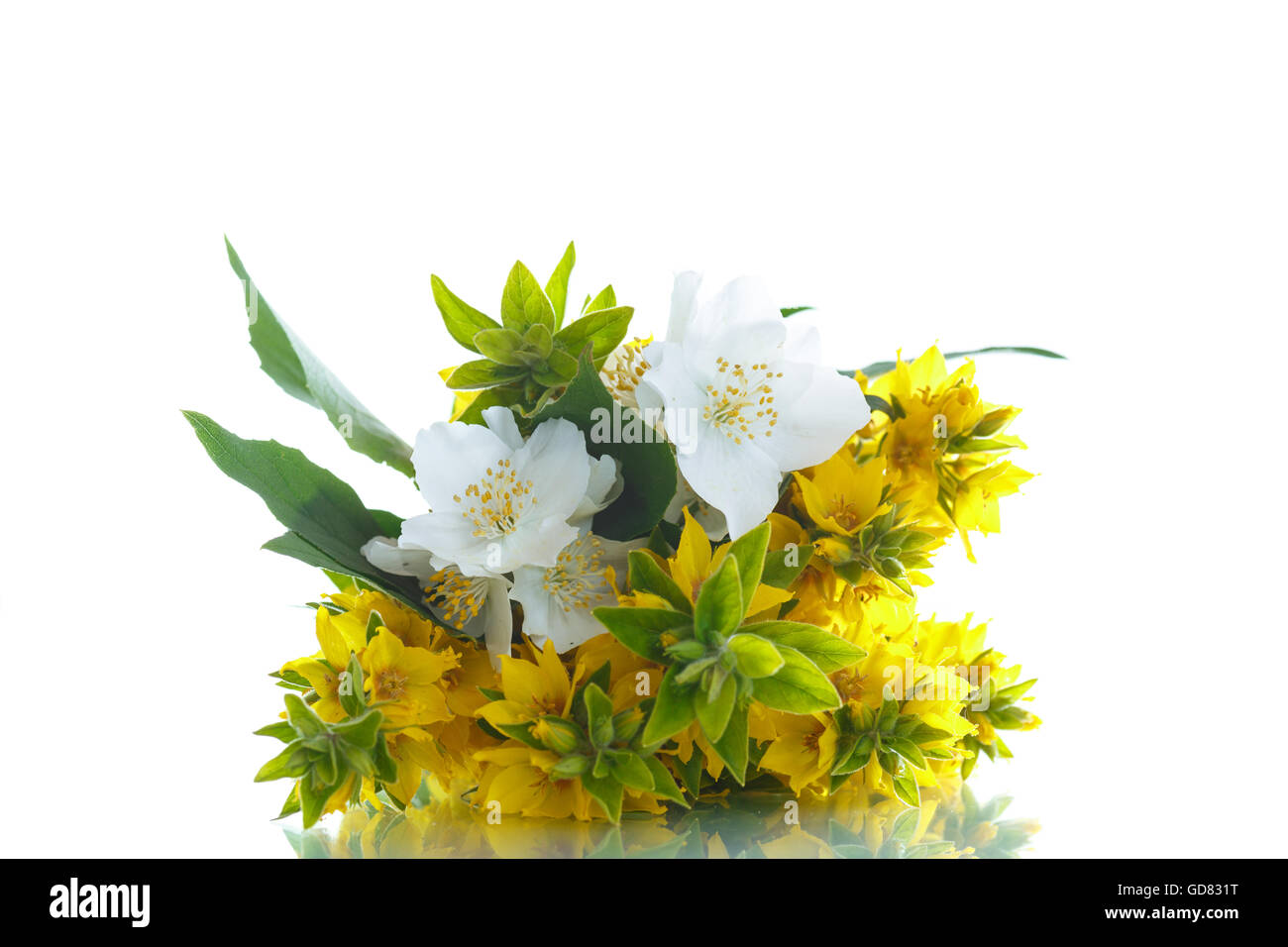 beautiful yellow summer flowers Stock Photo - Alamy