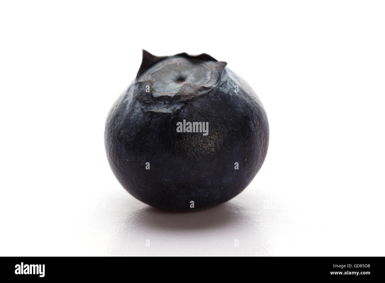 Macro photography blueberry hi-res stock photography and images - Alamy