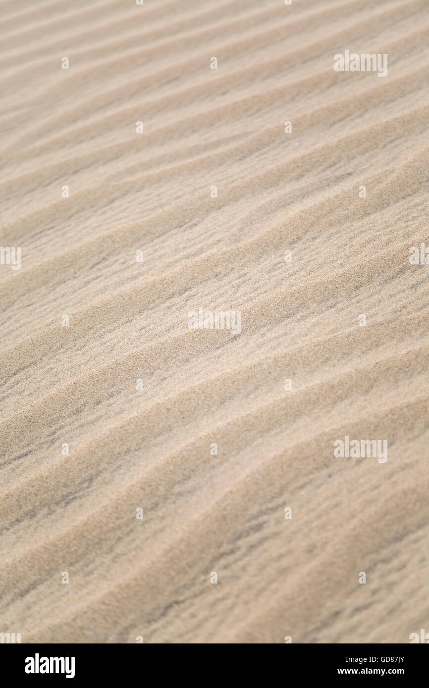 Close up view at sand texture Stock Photo - Alamy