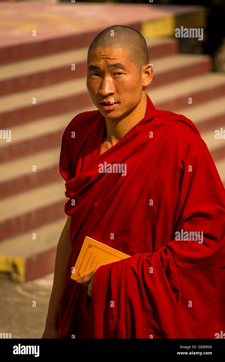 Gyuto monastery, dharamsala hi-res stock photography and images - Alamy