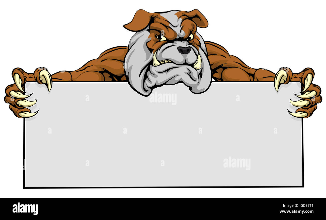 A mean looking bulldog dog mascot holding a sign Stock Photo - Alamy