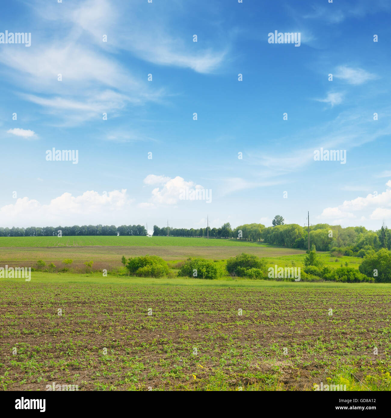 Fields spring blue sky hi-res stock photography and images - Alamy