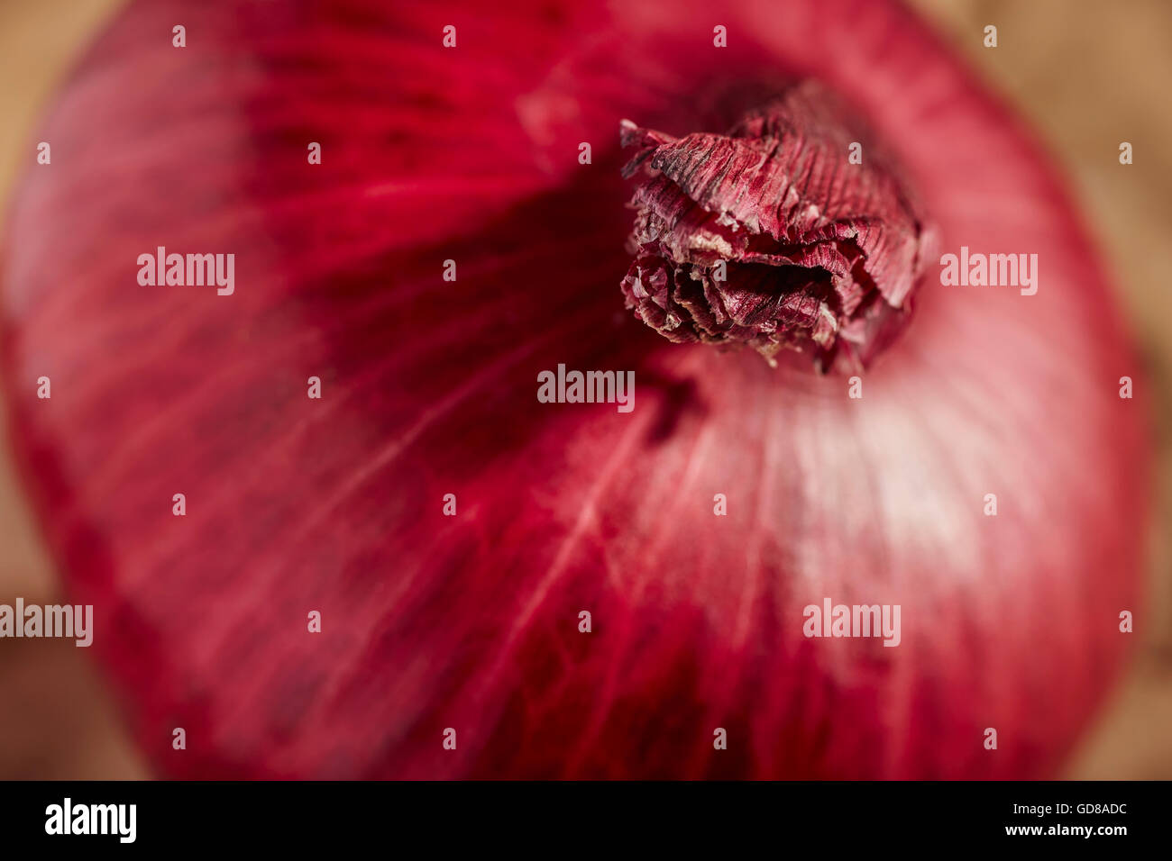 Typical bermuda hi-res stock photography and images - Alamy