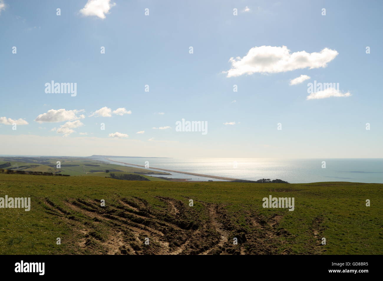 Countryside above Abbotsbury,Dorset Stock Photo - Alamy