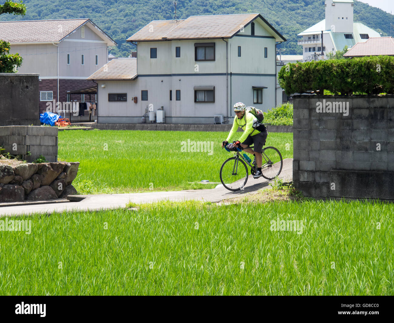 Rice field traditional japanese houses hi-res stock photography and ...