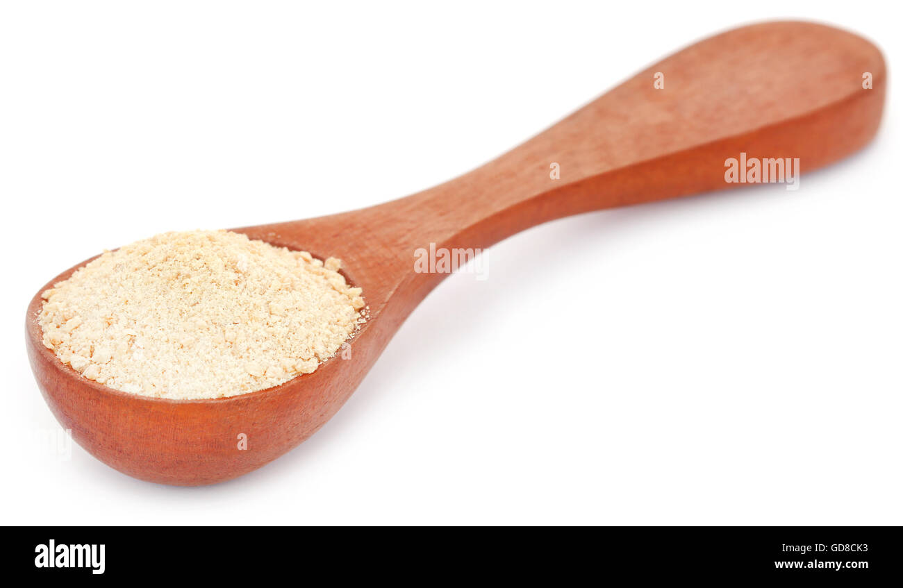 Ferula assafoetida or Hing spice of Indian subcontinent Stock Photo - Alamy