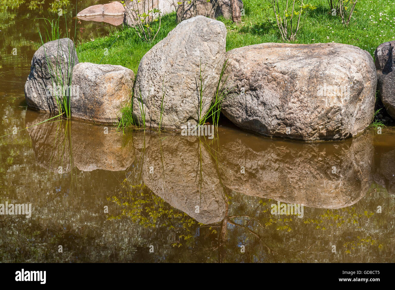 Plant reflections in water hi-res stock photography and images - Alamy