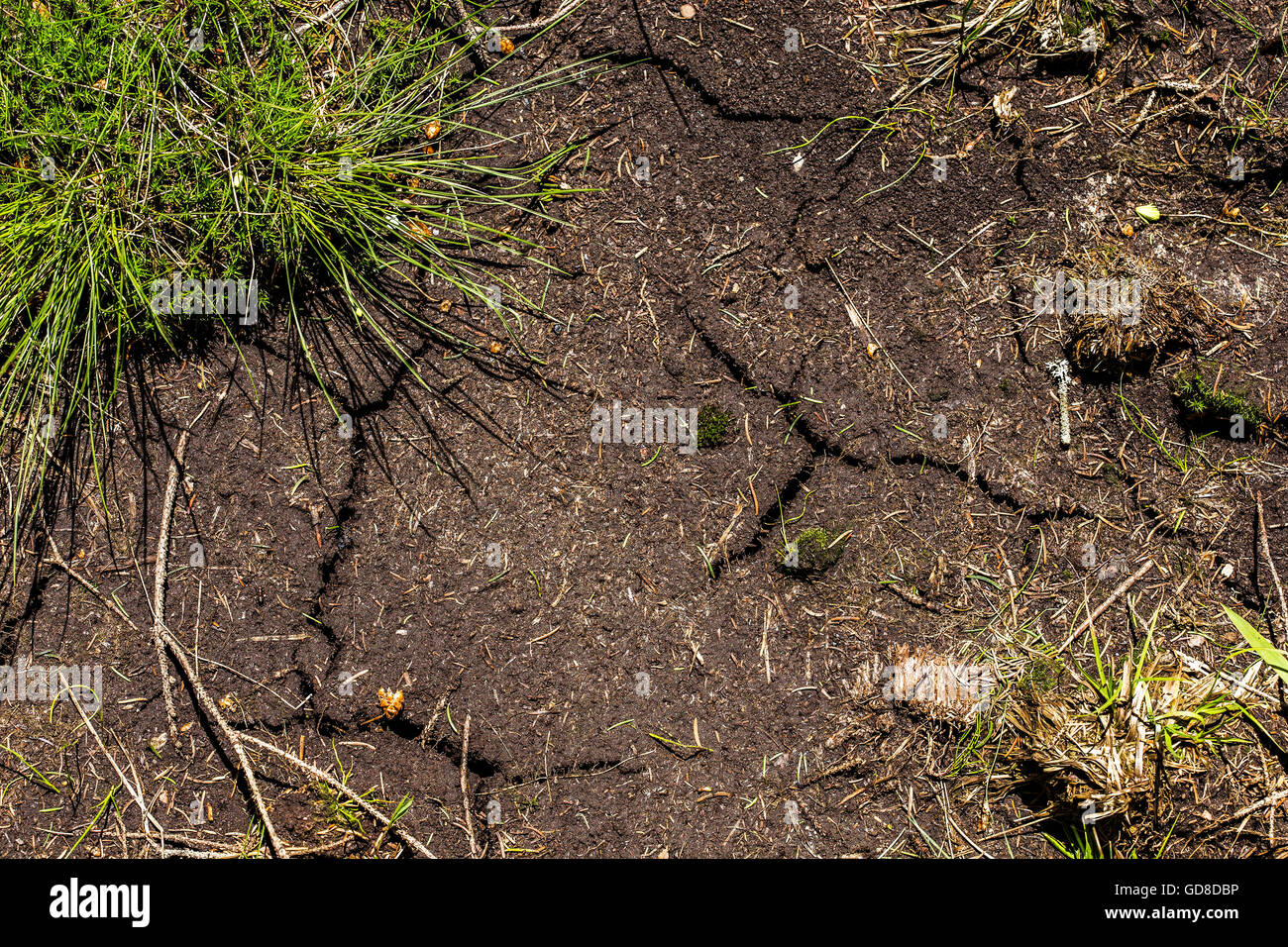 Big cracks on the earth, ground texture Stock Photo - Alamy