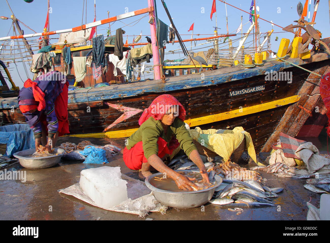 Women preparing fish for sale at Vanakbara Fishing port in Diu Island ...