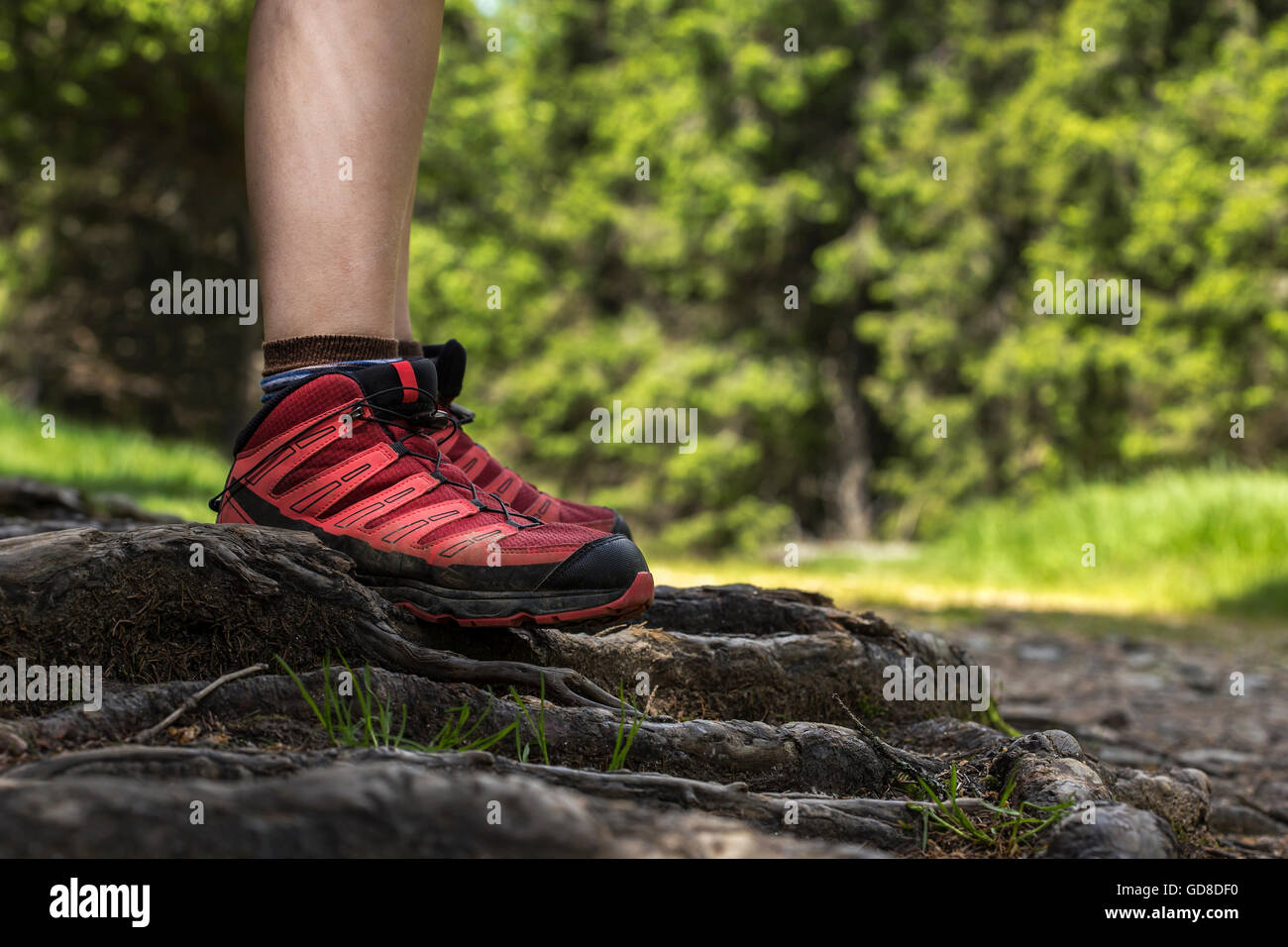 Rough terrain hi-res stock photography and images - Alamy