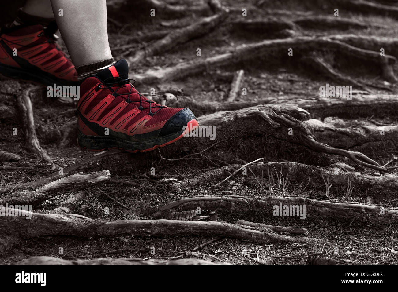 Firmly standing on a rough terrain Stock Photo - Alamy