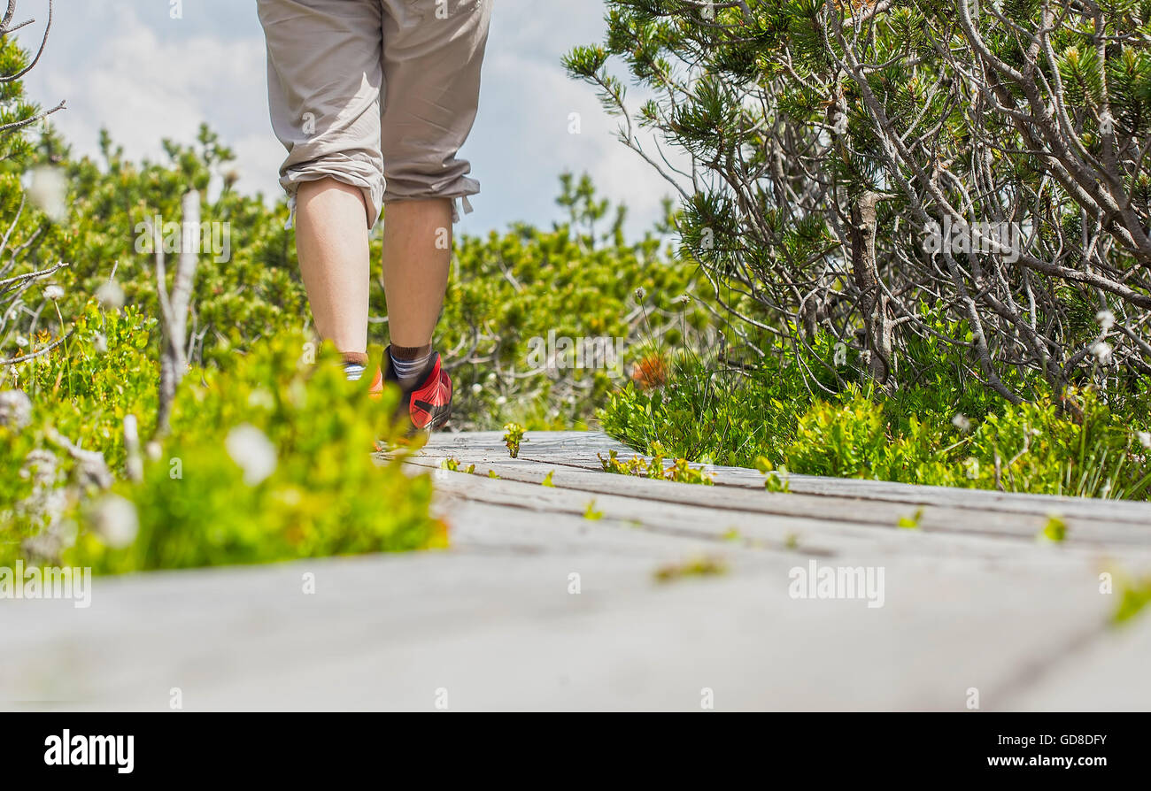 Walking on hanging bridge hi-res stock photography and images - Alamy
