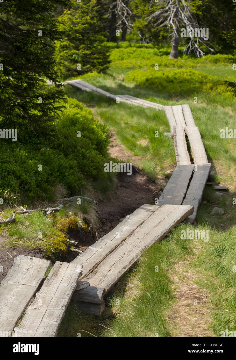Wooden board way leading somewhere in the nature Stock Photo - Alamy