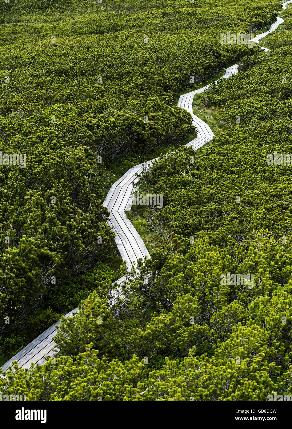 Board way hi-res stock photography and images - Alamy