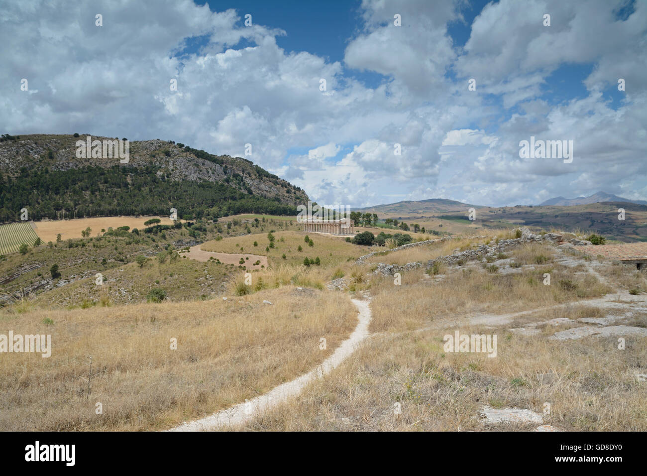 Temple at Segesta Stock Photo - Alamy