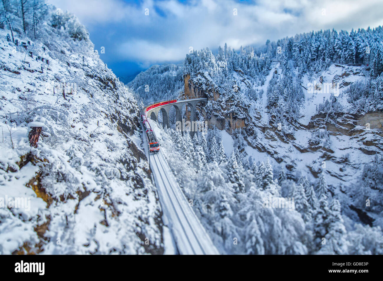 Bernina Express passes through the snowy woods around Filisur Canton of ...