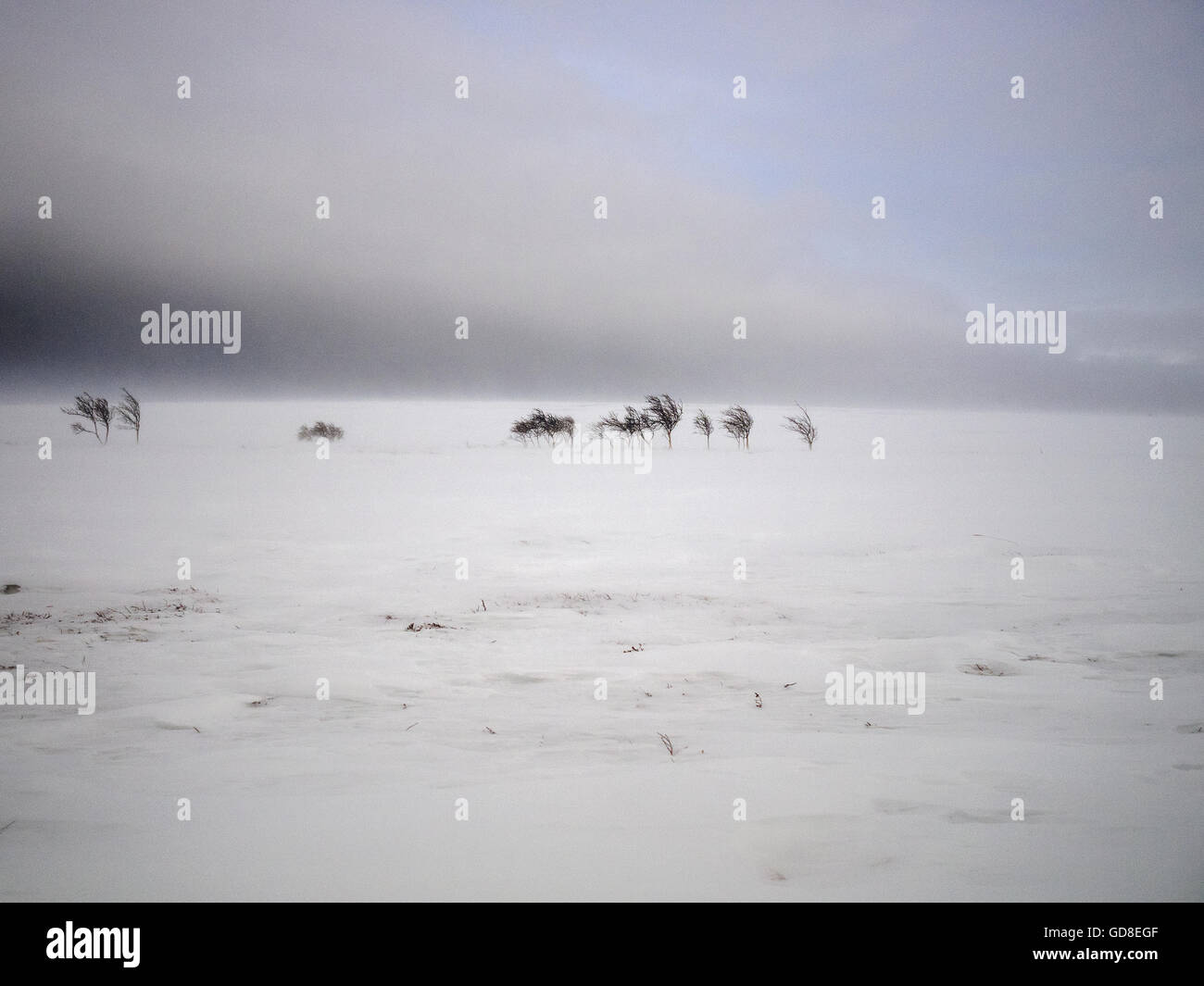 Norway snow landscape hi-res stock photography and images - Alamy