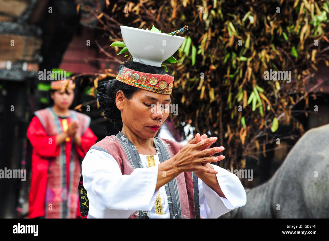 A Traditional Batak Dancer performing a ceremonial dance in Bolon ...