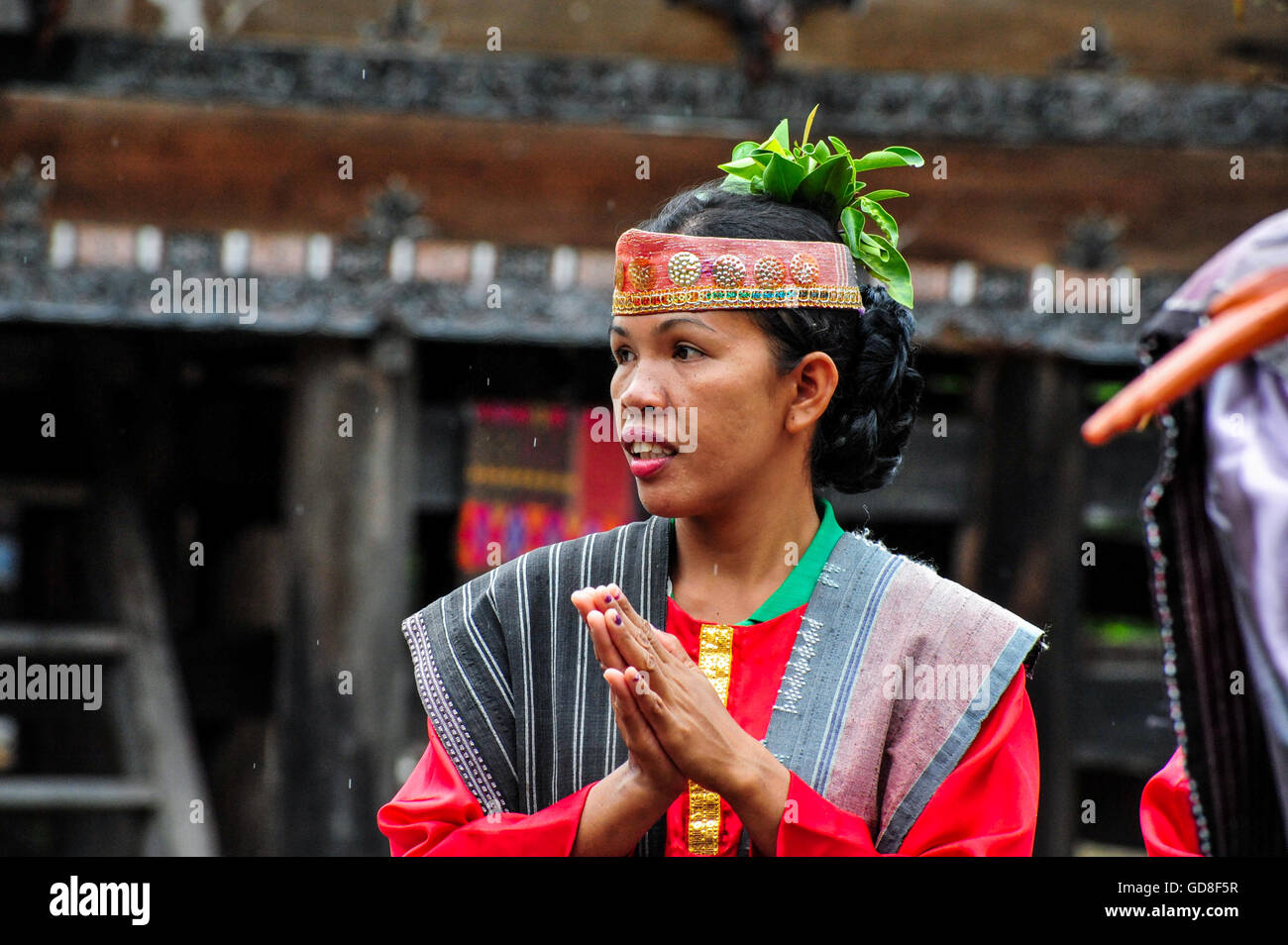 A Traditional Batak Dancer performing a ceremonial dance in Bolon ...