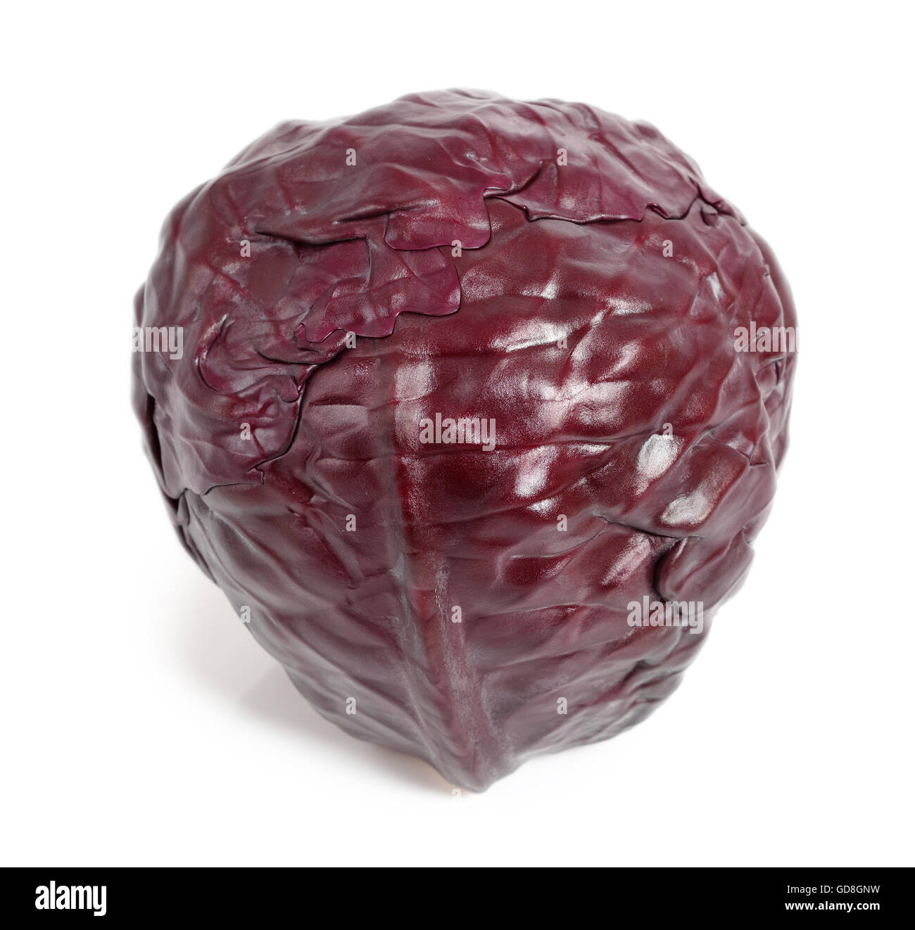 Red purple cabbage. Isolated on a white background Stock Photo - Alamy