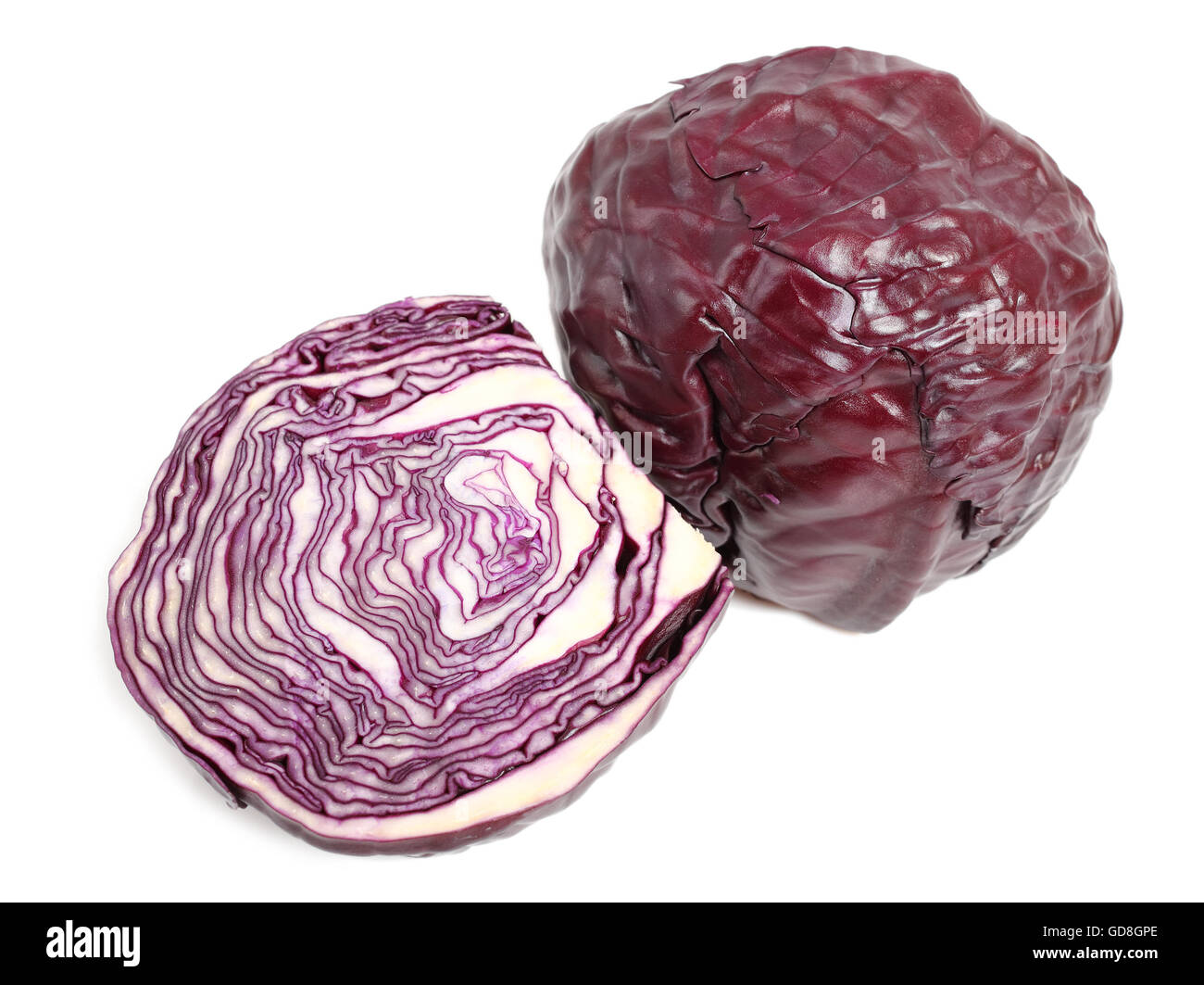 Cross section of the head hi-res stock photography and images - Alamy