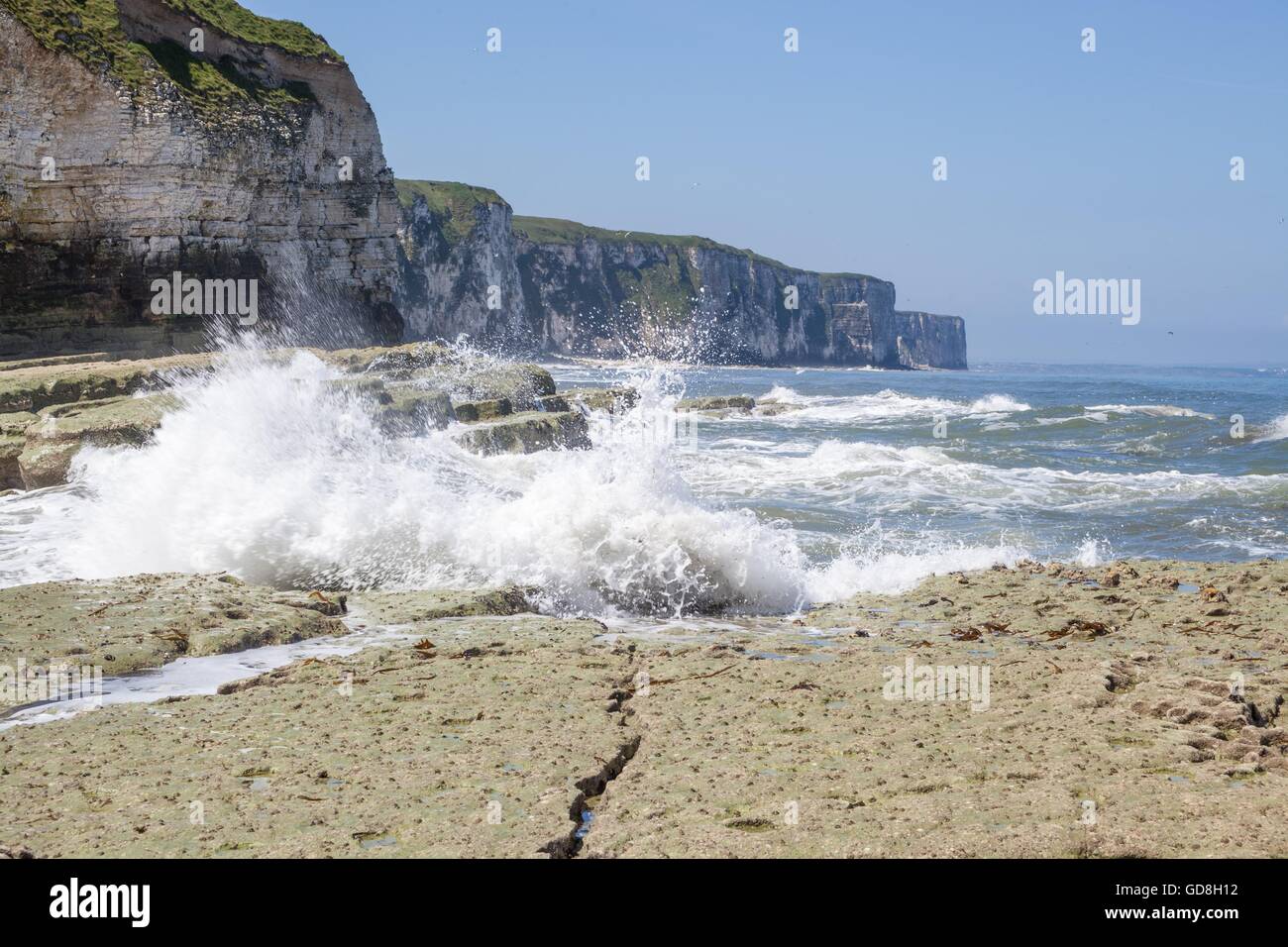 Flamborough Head, showing chalk stack and cliffs overlooking north sea ...